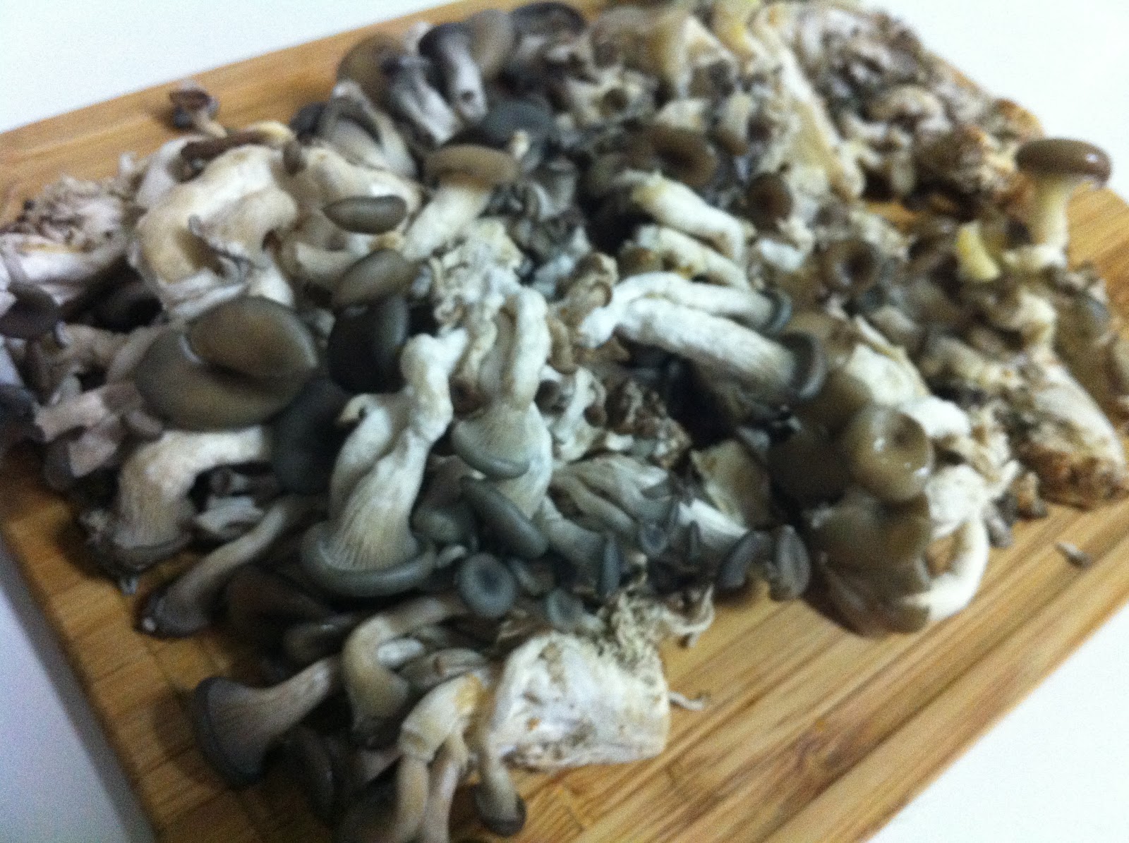 O Melhor Prato: Prato Light para um dia frio!