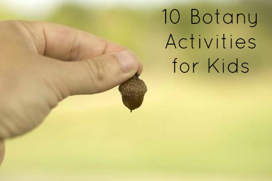 10 Botany Activities for Kids: Kid's Co-op ~ Reading Confetti