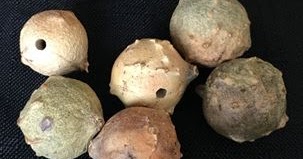 Medieval Codes : Oak Gall Ink Explained