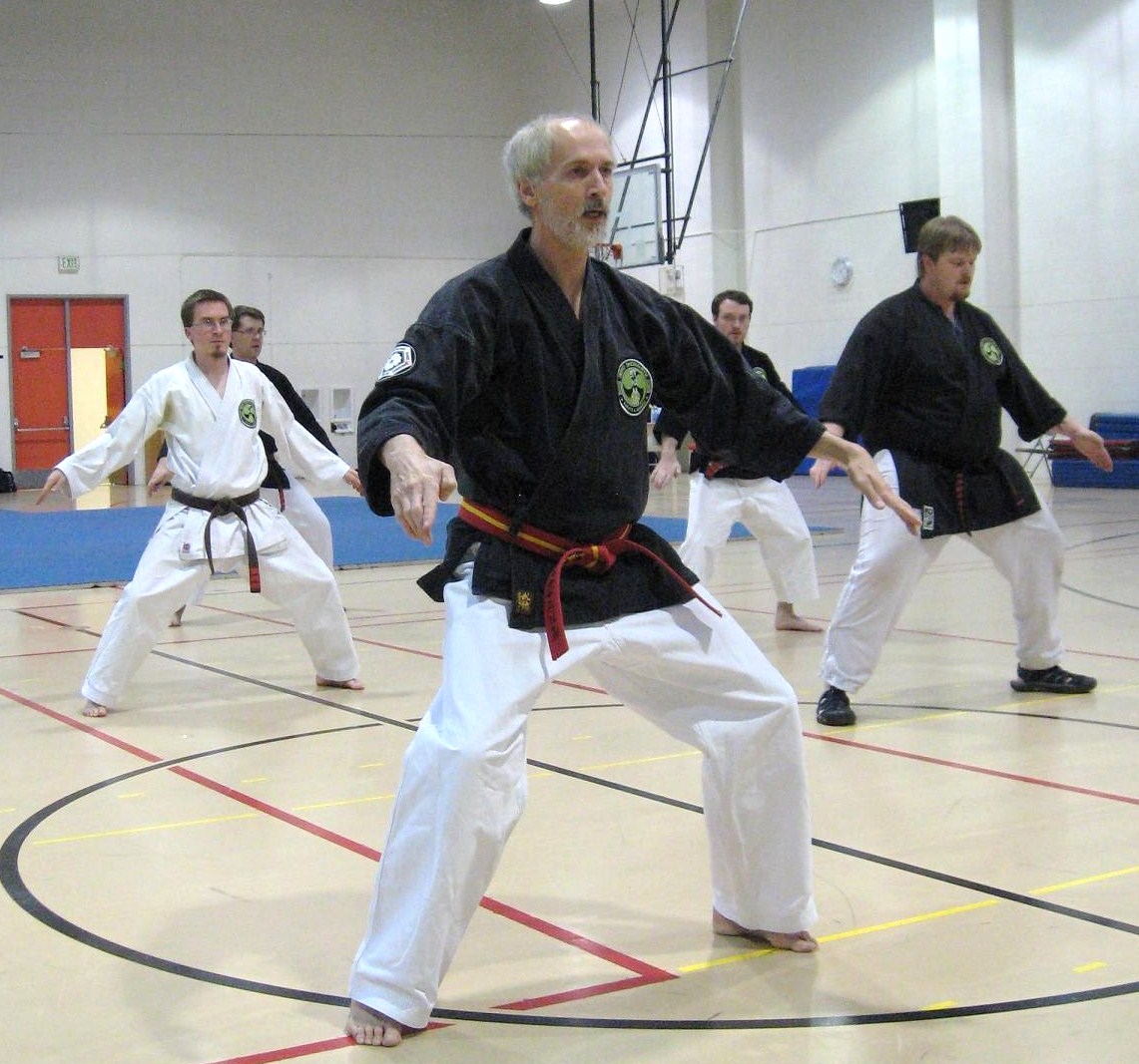 Karate Stances - A Perfect Karate Foundation: Dachi - Karate's Perfect ...