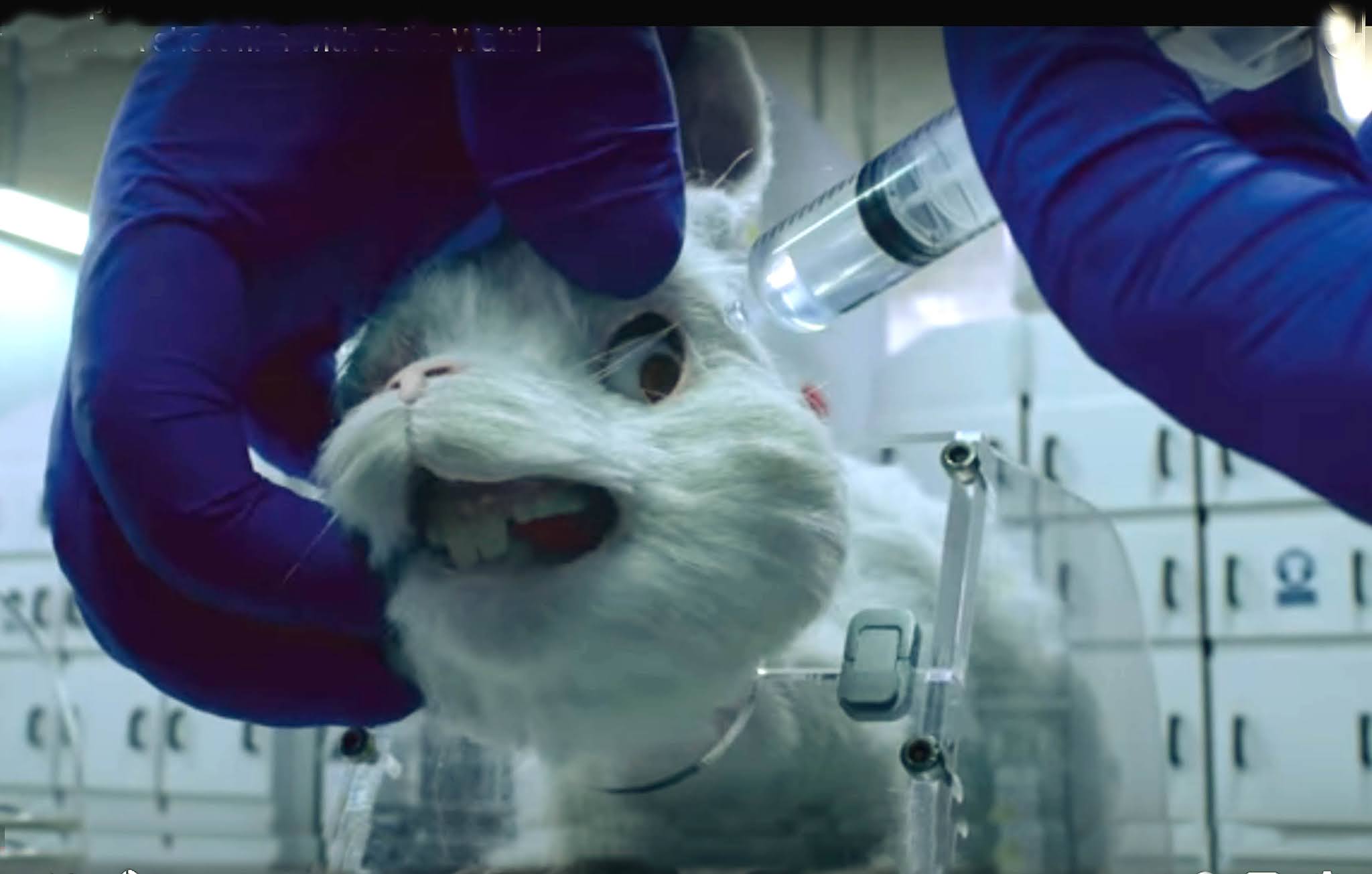 Kampanye Larangan Uji Coba Kosmetik pada Hewan Melalui Film Save Ralph ...