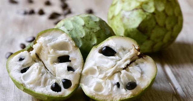HOW TO GROW CHERIMOYA - HOME GARDEN - Garden Fruit 101