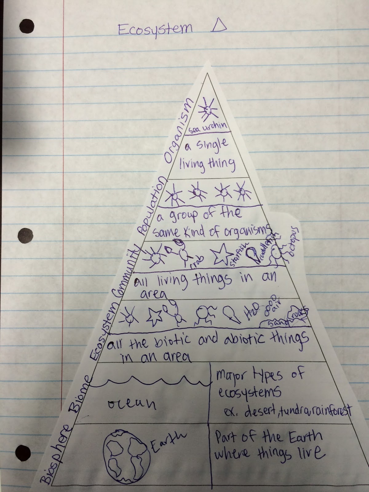 What Are We Doing In Science Today?: Organization of Ecosystems