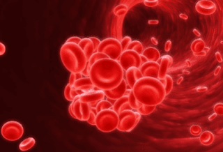 Condensed Blood, causes and the right way to overcome - GOLELY