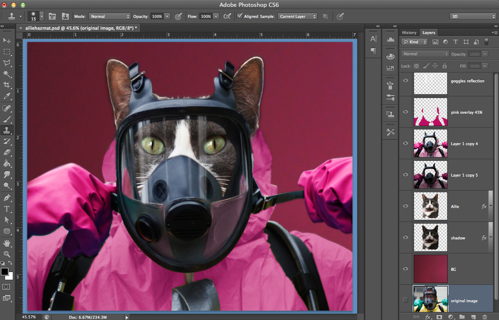 A Tonk's Tail... err, Tale...: Cat Art Hop: The Making of a Hazmat Cat