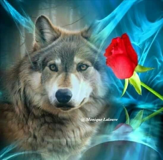 Askare Imágenes : 🐺 Lobos con rosas