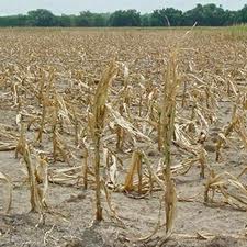 Echilibre şi dezechilibre naturale: SECETA
