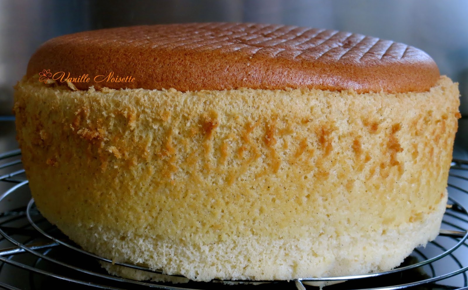 Vanille Noisette : LE FLUFFY CAKE ou le CAKE NUAGE