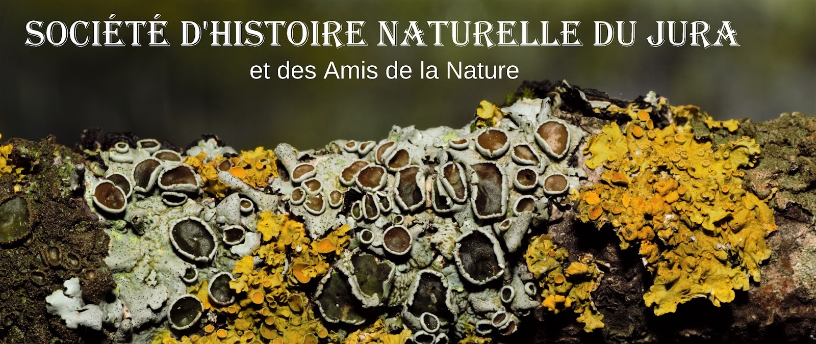 SHNJ. SOCIÉTÉ D'HISTOIRE NATURELLE DU JURA et des Amis de la Nature ...