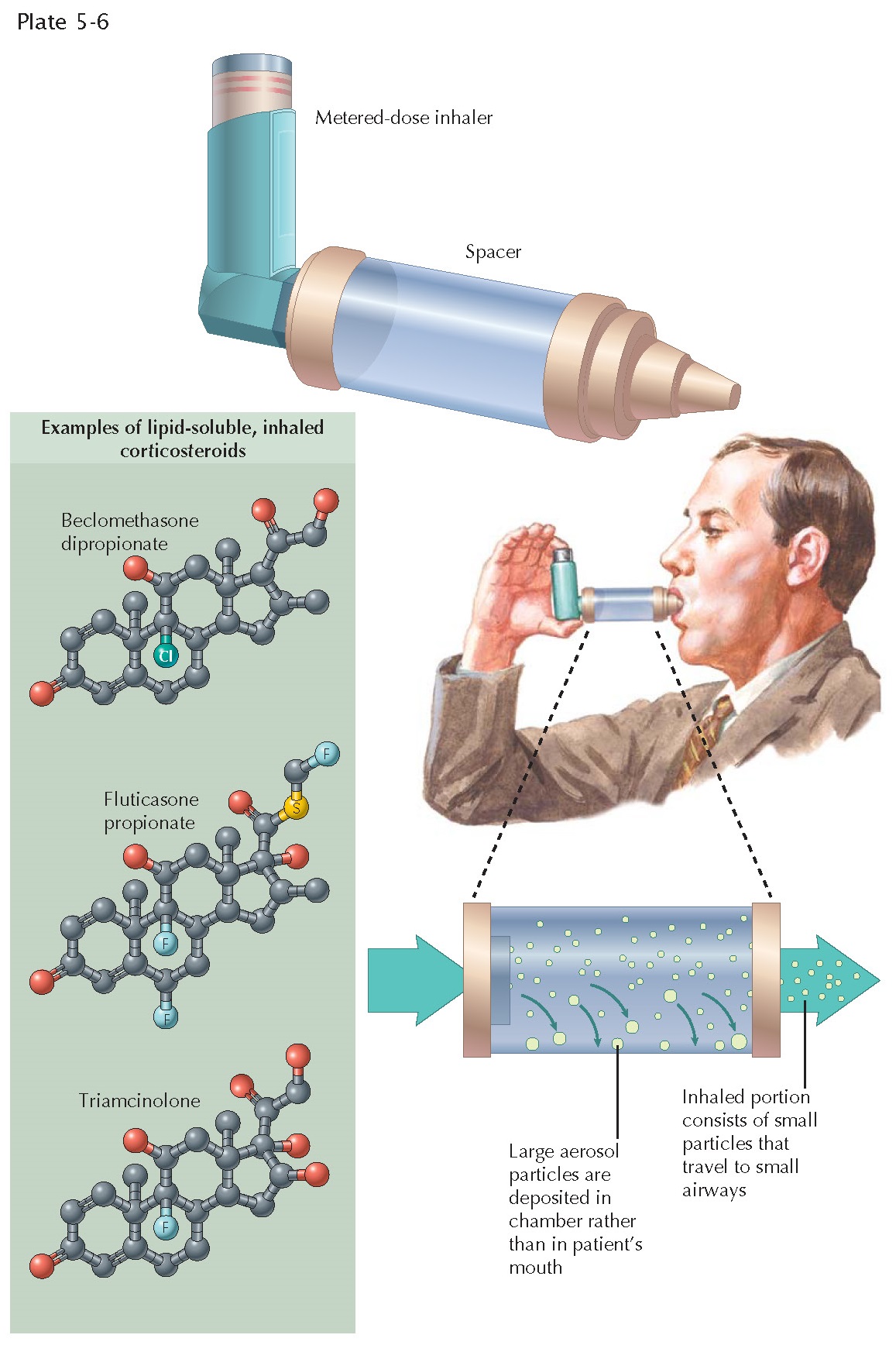 PULMONARY PHARMACOLOGY - pediagenosis