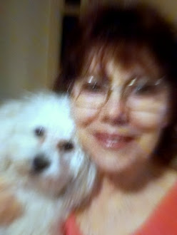 EL MUNDO MEJOR DE MABEL: "PONÉ ALGO Y DESPUÉS HACEMOS LO QUE QUEREMOS ...