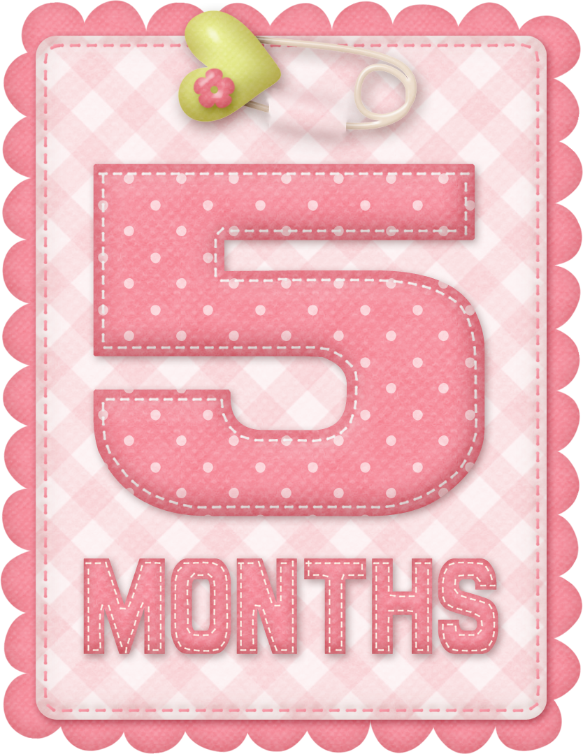 Free Printable Baby Month Counter for Girls. - Oh My Baby!