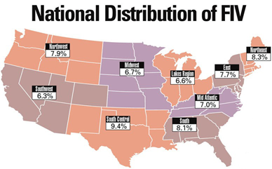 Exclusively Cats Veterinary Hospital Blog: Feline Immunodeficiency ...
