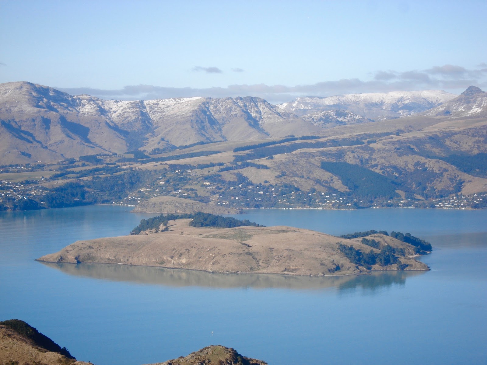 Ōtamahua/Quail Island #6: Sea cadets, farming, ecological restoration ...