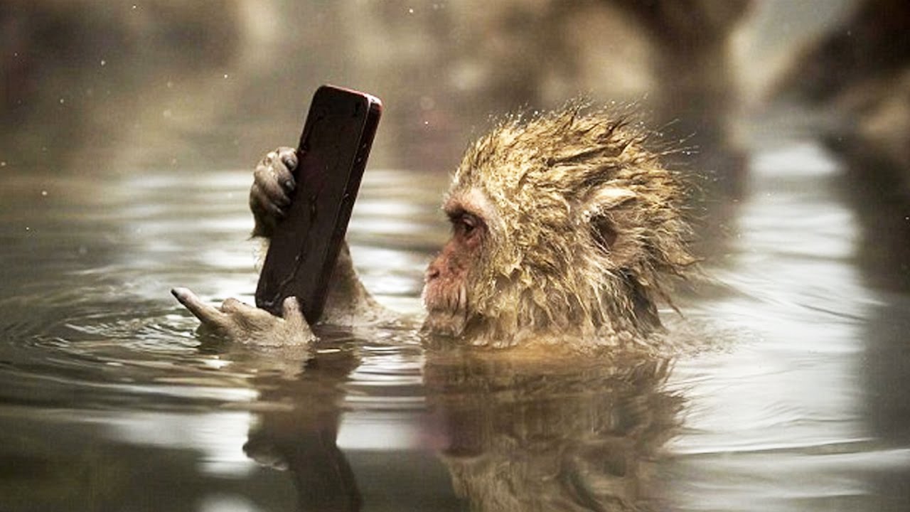 Movies Picture: Funny Pictures