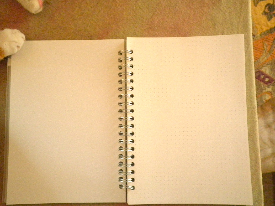 Pocket Blonde: Muji Double Ring Notebook