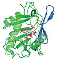 Enzim Protease - E-JURNAL