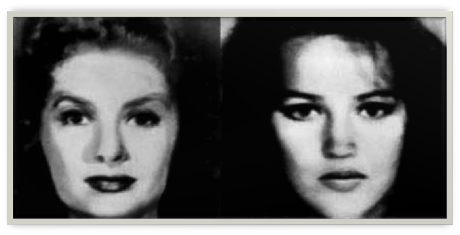 All The Small Things: The Work of Nancy Burson