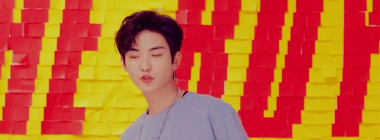 Tudo sobre... Hwall do The Boyz!