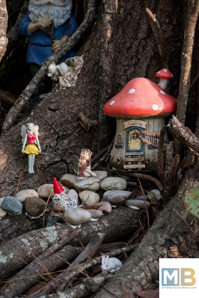 Visit this Secret Gnome and Fairy Garden Path hidden in Myrtle Beach