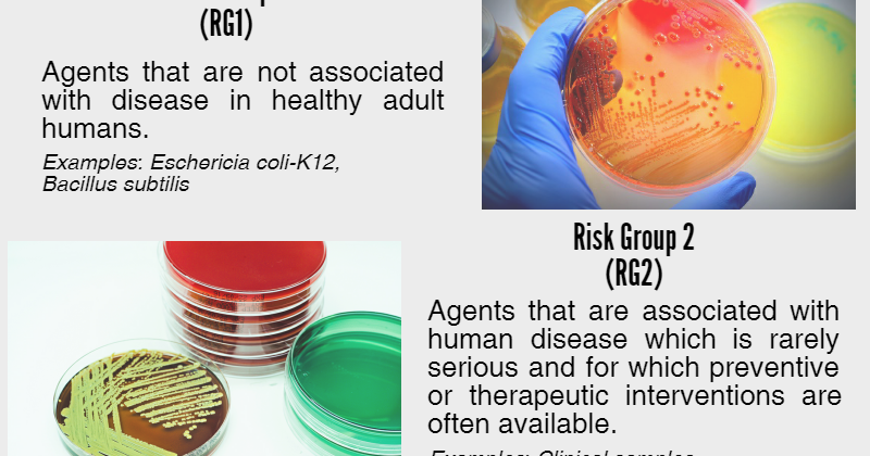 Let's talk about biosafety.: What are the risk groups?