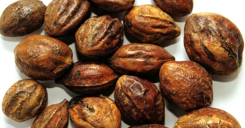 Karakkaya (Haritaki) - The Herb With Many Health Benefits | Ayurvedic ...