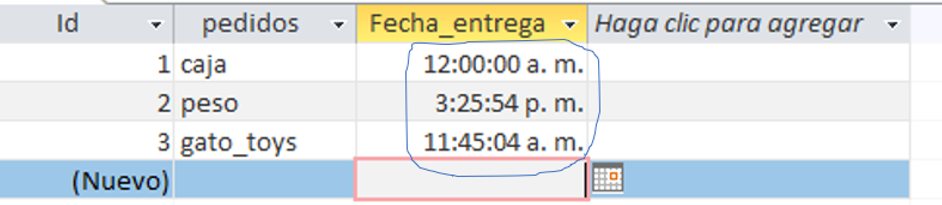 Propiedades de Campos en access.