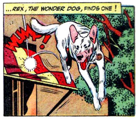 Pappy's Golden Age Comics Blogzine: Number 2488: Rex the Wonder Dog ain ...