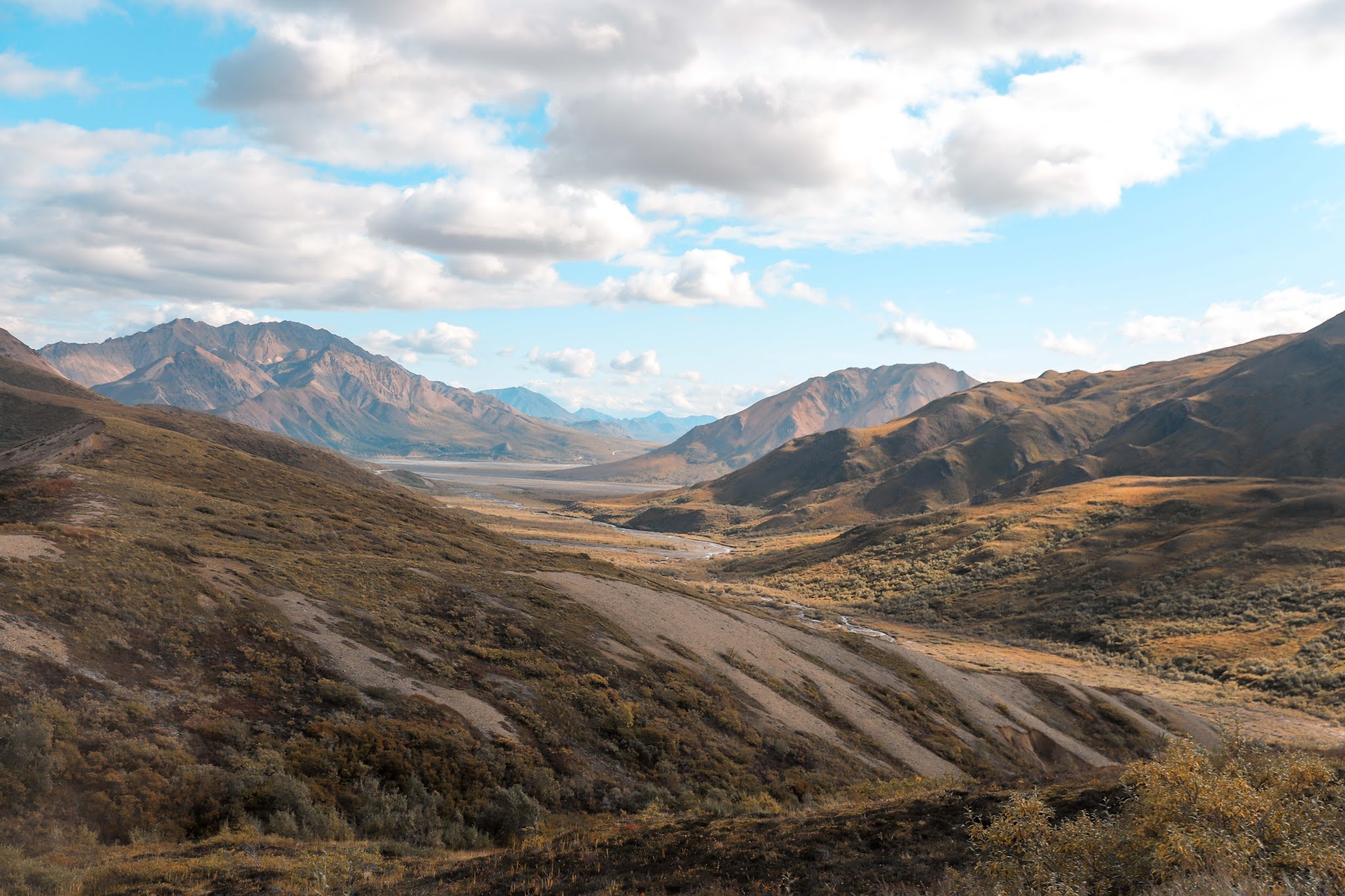 Denali National Park Travel Guide | Tundra Wilderness Tour Review ...