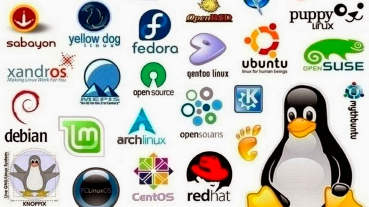 Comandos Básicos de Linux - Linux