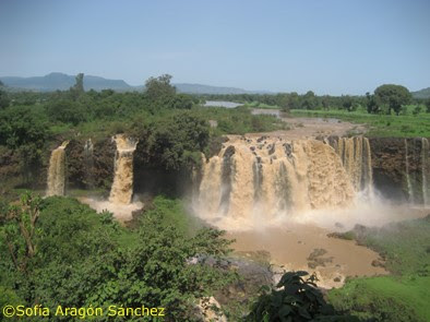 DIARIO DE A BORDO: EL MISTERIO DE LAS FUENTES DEL NILO Y EL VIAJERO ...