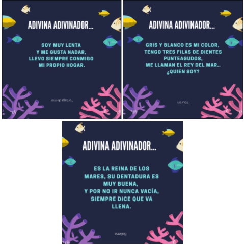 ¡Adivinanzas de animales marinos!