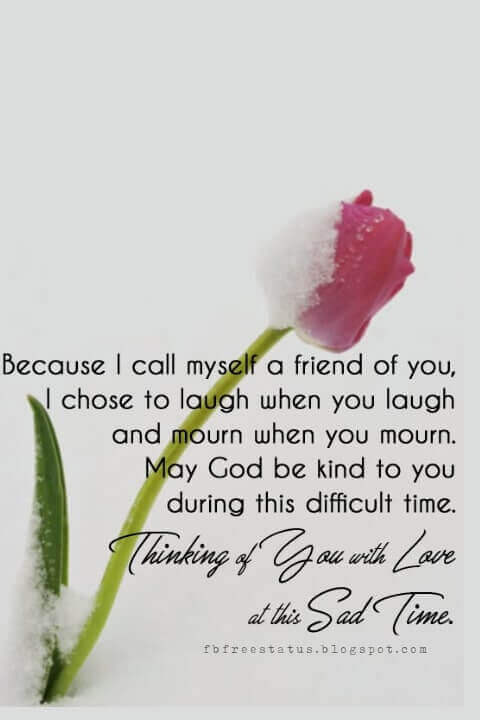 Sympathy Messages And Condolence Quotes With Images