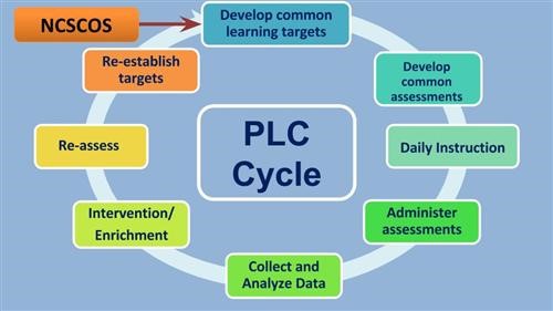 LM-Lion Leaders: The Power of PLC