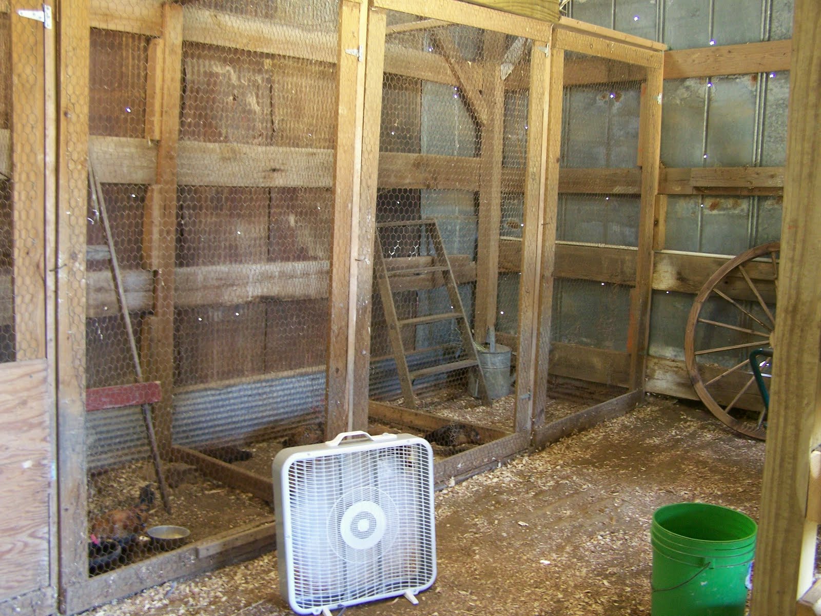 Shabby Olde Potting Shed: Chicken Coop and Barn Makeover Progress