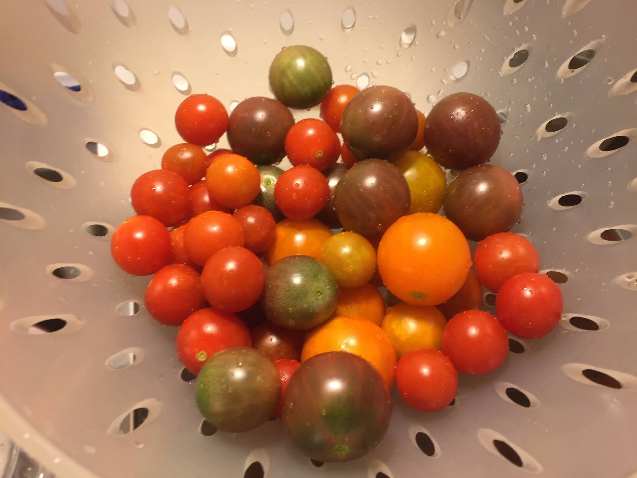 PEMBE DOMATES AĞI - MERKEZ: "EVDE PEMBE DOMATES SERUVENI"