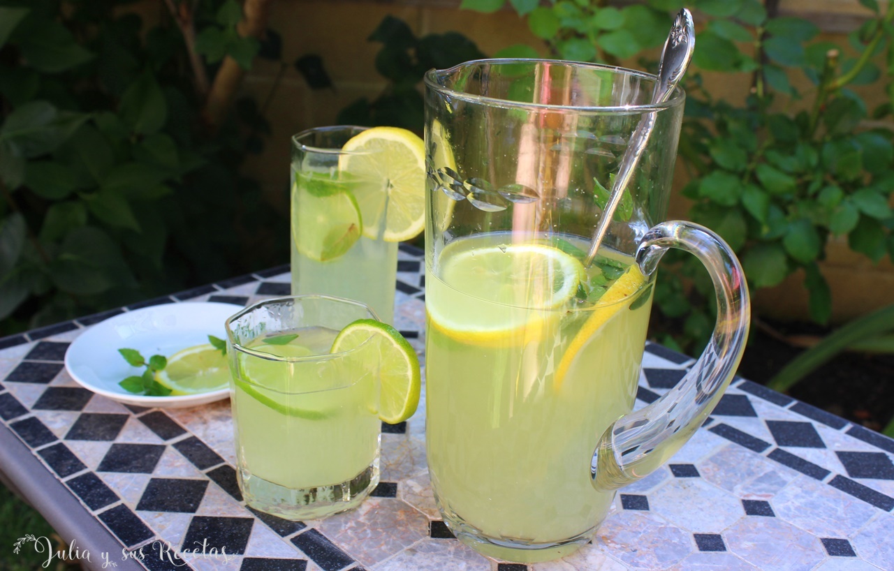 JULIA Y SUS RECETAS: Limonada casera