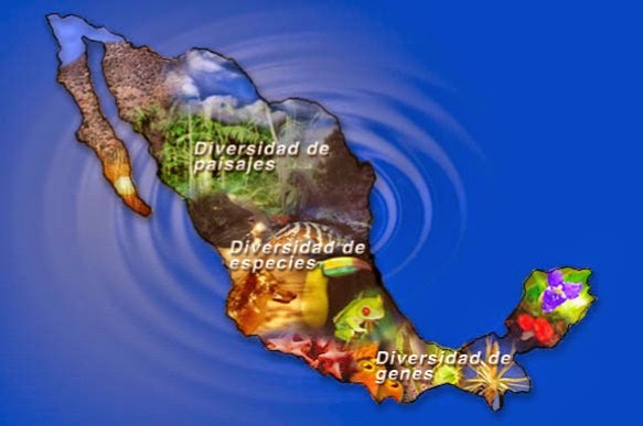 BIODIVERSIDAD DE MEXICO: FACTORES BIOGEOGRAFICOS Y CULTURALES DE ...