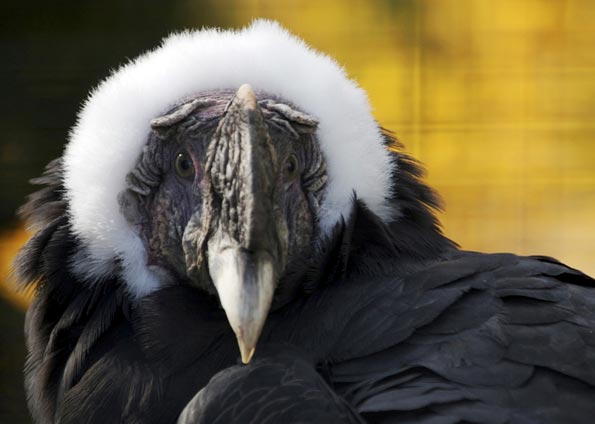 Natureza, Perfeição sem tamanho...