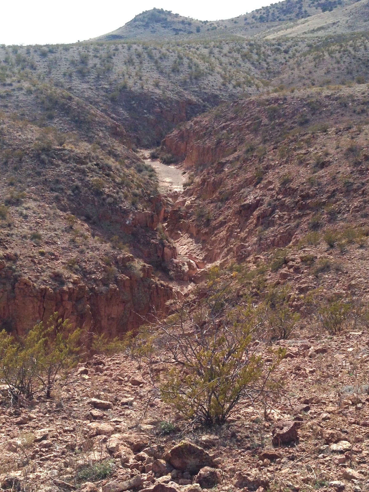 Southern New Mexico Explorer: Upper Faulkner Box Canyon- Organ ...