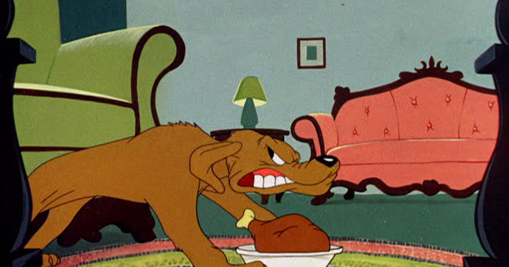 Shep from Fresh Airedale