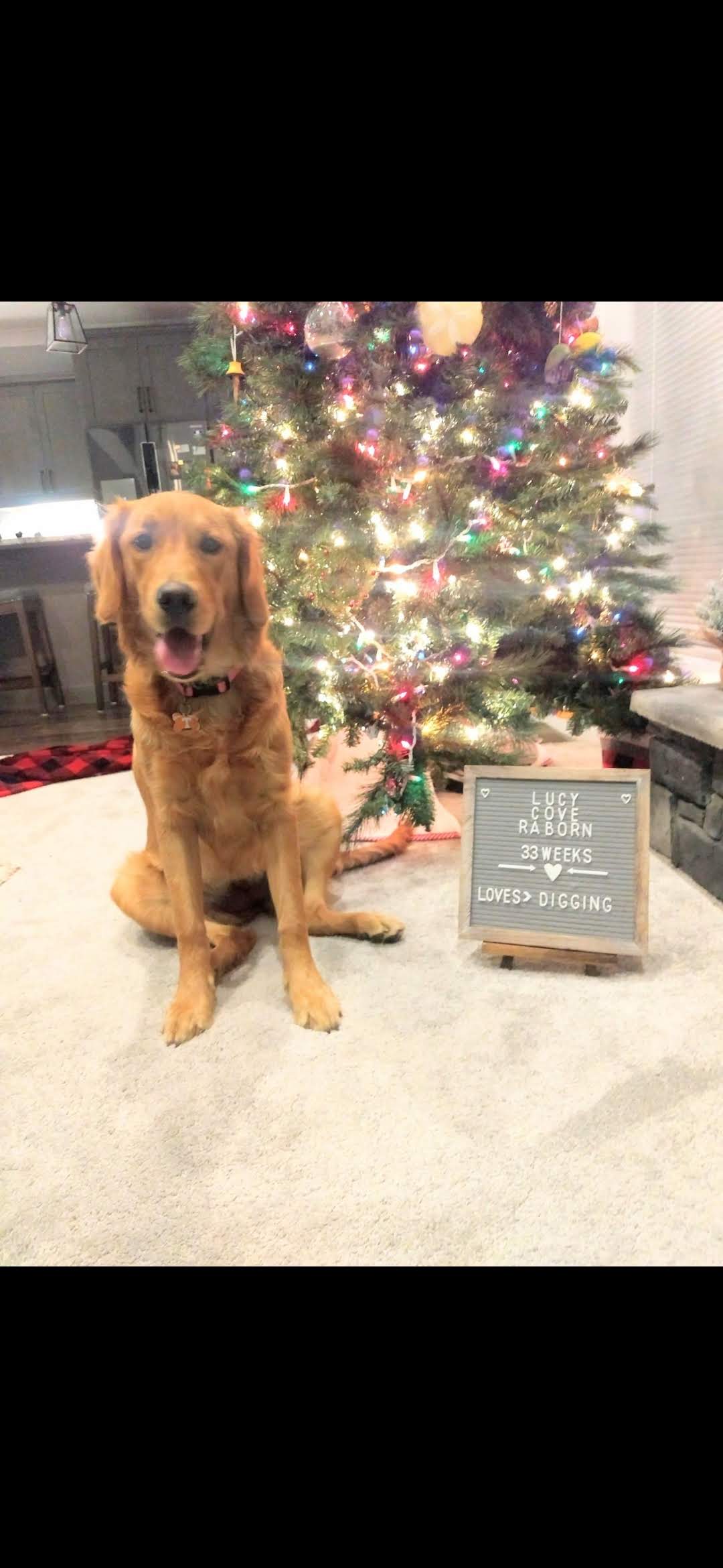 Newest Raborns on the Block!: Lucy Cove Raborn Growth Updates!