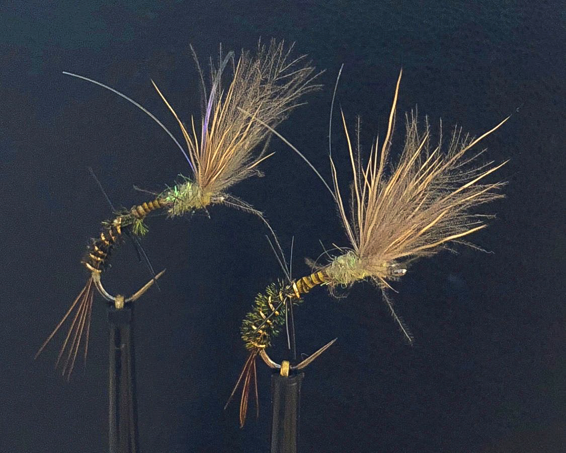 NIGEL NUNN - Fly Box Holy Grail & Sketching Through a Pandemic