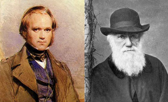 Finfacts Ireland: On the origin of humans and evolution