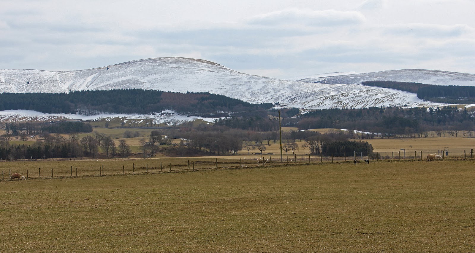 Neil's Hillwalking Exploits: Lamington Hill