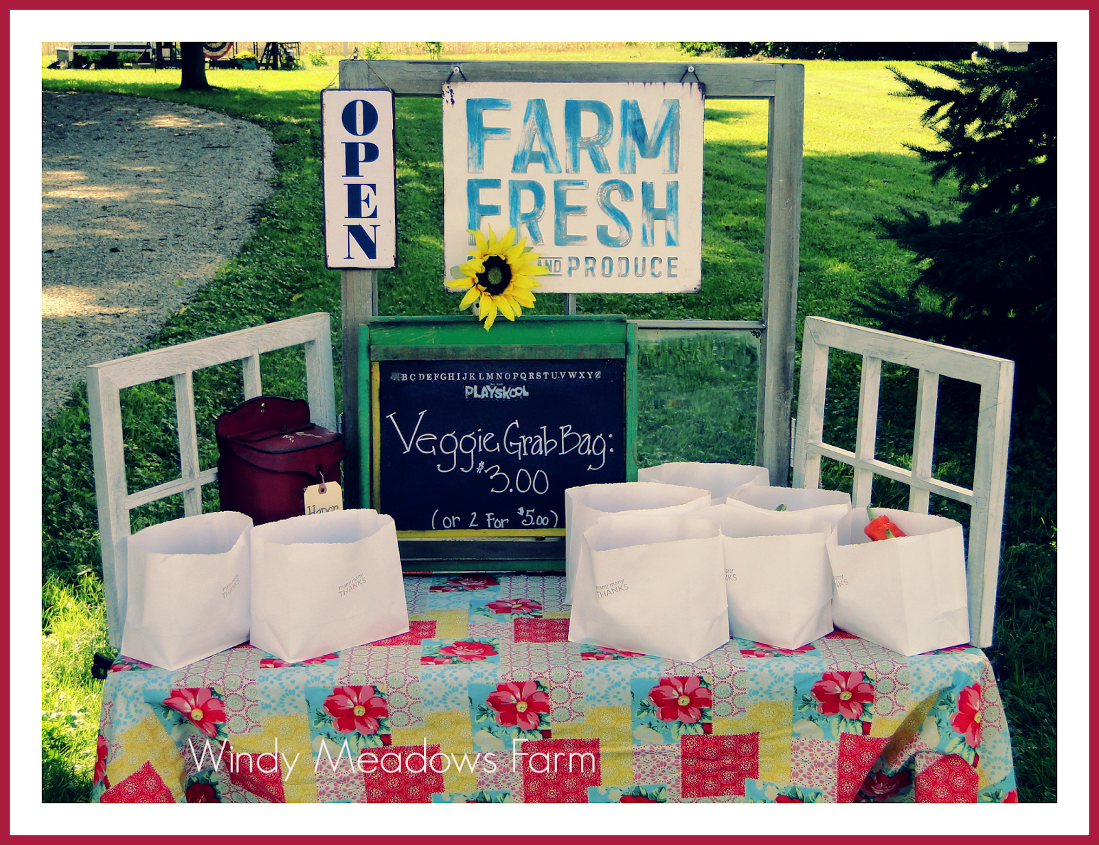 Windy Meadows Farm: fall magic...