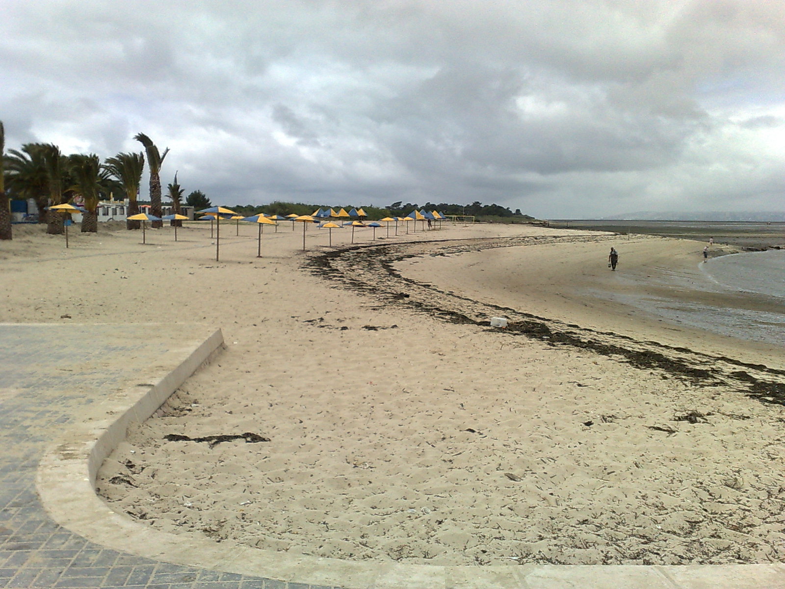 Humanos somos nós!?: Praia do Samouco(Montijo).