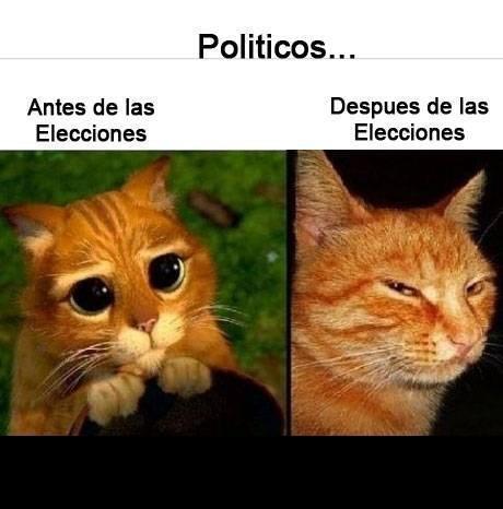 25 Memes de Crítica VII