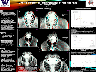 Better Posters: How to make a 3-D poster