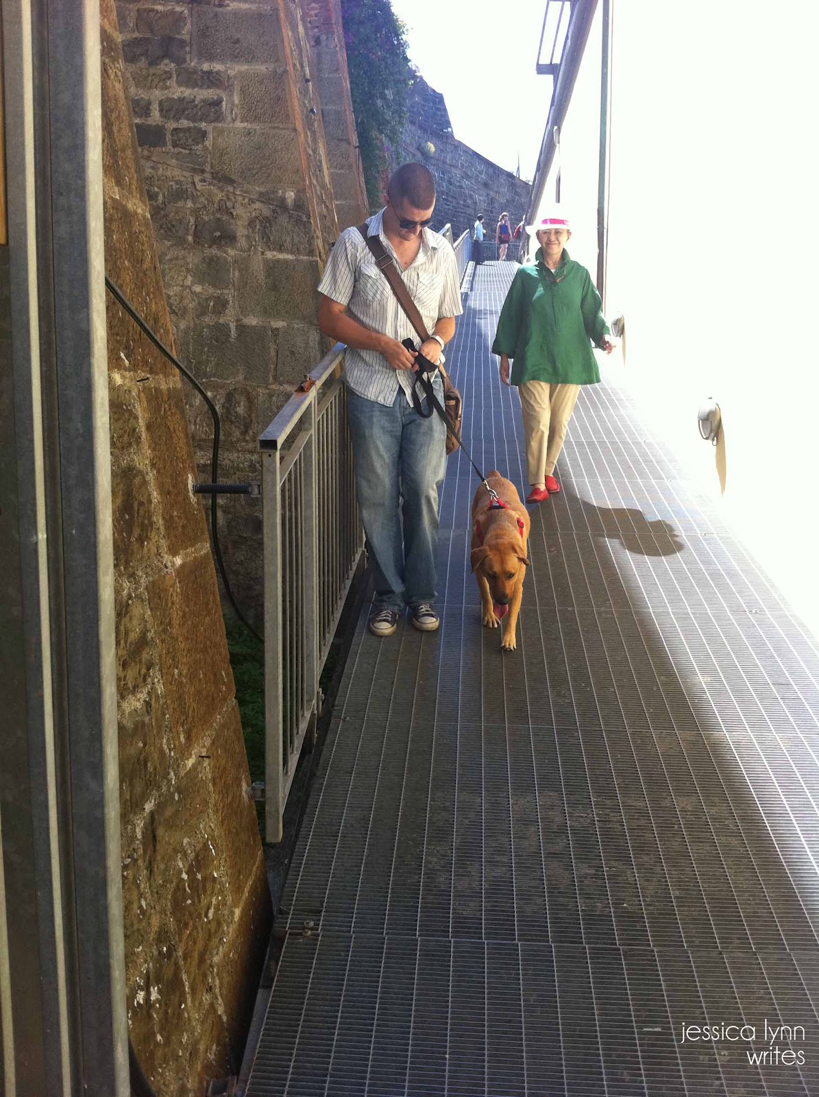 Puppy's Perspective: Cinque Terre, Italy • Jessica Lynn Writes